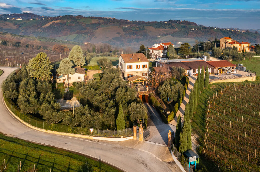 Visit our winery - Vignamato